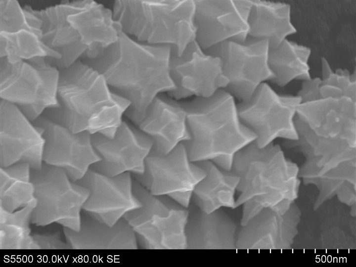 Chemical Structure of Gold Nanoparticles