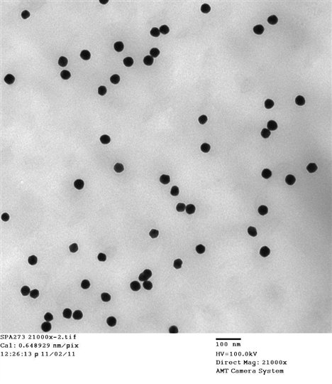Bare Spherical Gold Nanoparticles