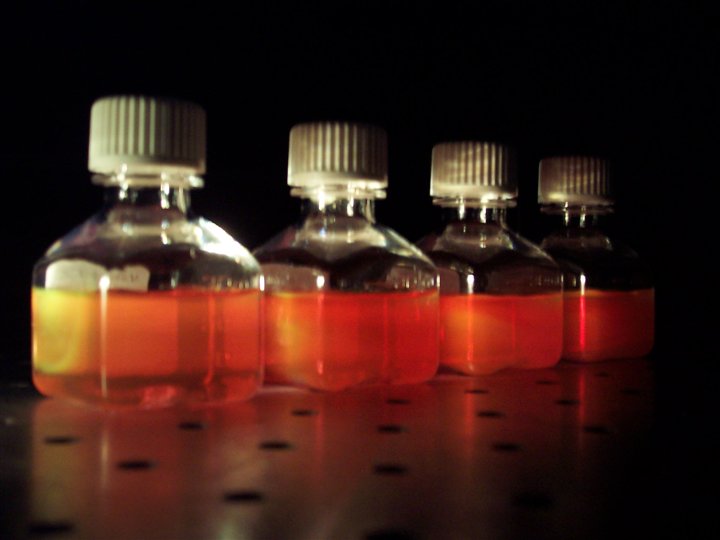 Conjugation of Azide-Tagged Targets to DBCO-Functionalized Gold ...