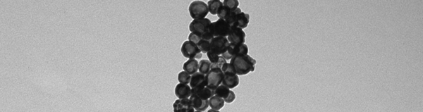 Hollow Gold Nanoshells - Nanopartz