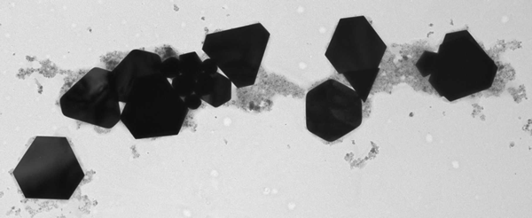 Gold Nanoplates - Nanopartz