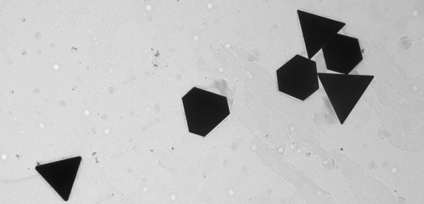 Gold Nanoplates - Nanopartz