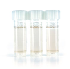 Gold Nanoplates - Nanopartz