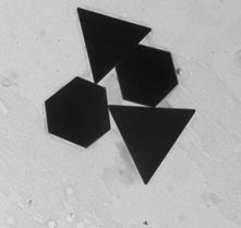 Nanopartz All About Gold Nanoplates