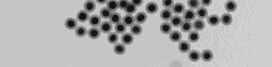 PEG Silica Coated Gold Nanoparticles - Nanopartz